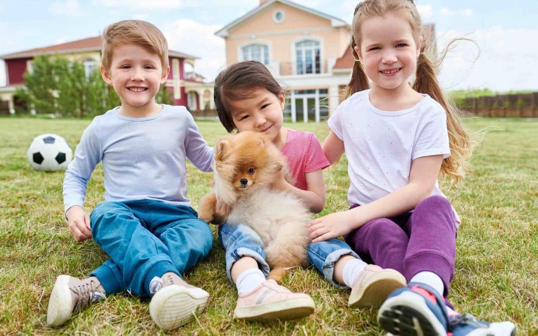 Dogs And Children Essential Safety Advice To Follow Try Whim Dogs And Children Essential Safety Advice To Follow Try Whim